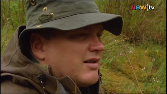 TelePlus – Thai Live TV streaming and playback from recorded archive ...