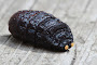 Rabbit Botfly larvae | Project Noah