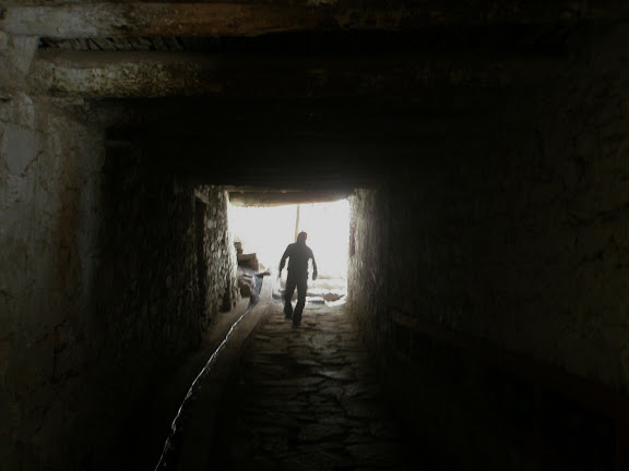 The Post Who Walks: Ladakh Trip: Day Six. Acclimatization in Leh