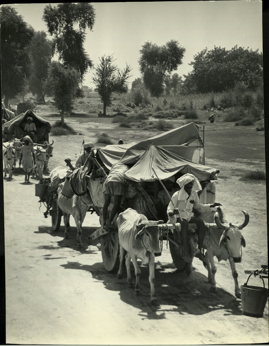 Mass Migration, India - Margaret Bourke-White — Google Arts & Culture