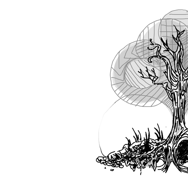 ghost tree » drawings » SketchPort