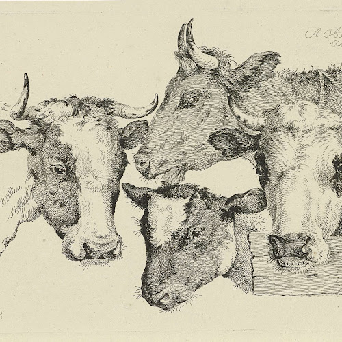 Drie koeien- en een kalfskop, Anthony Oberman, 1809 - Rijksmuseum