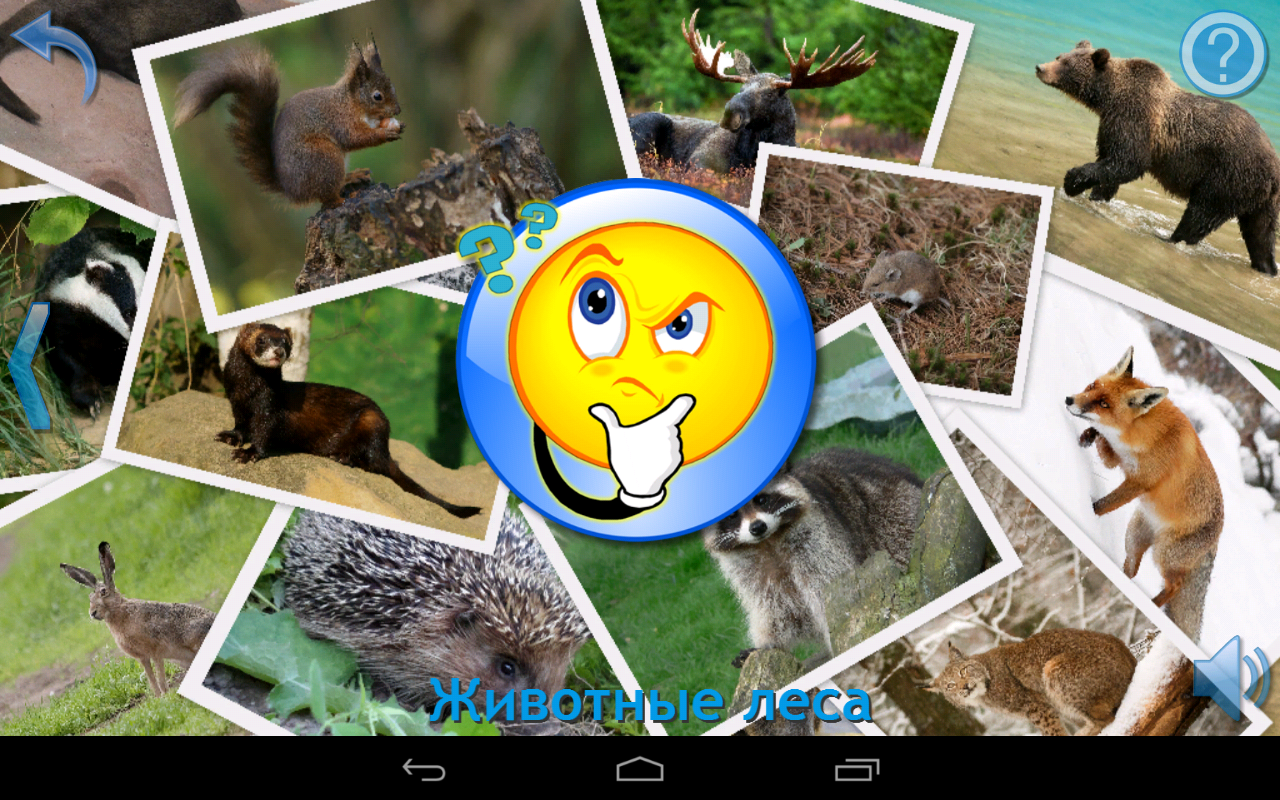 Тварини для Малюків (повна) – Програми Android у Google Play