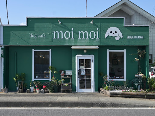 日本 Kanagawa, Odawara｜dog cafe moi moi