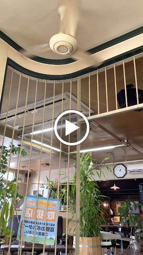 日本 Saga, Takeo｜ディア・ジョン