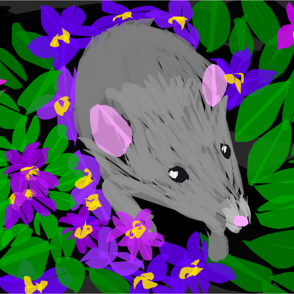 Not all Rats are Bad » drawings » SketchPort