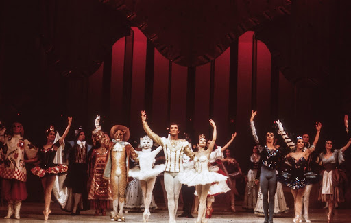 Sydney Opera House, Sydney, Australia — Google Arts & Culture