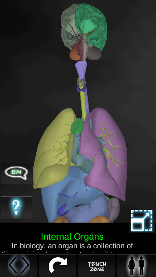 Organs 3D (Anatomy) - Android Apps on Google Play