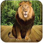 Talking Tom – Applications Android sur Google Play