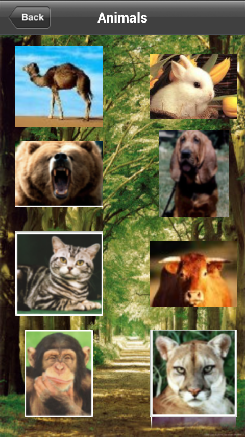 All Animal Sounds - Android Apps on Google Play