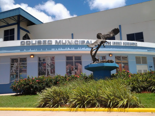 Coliseo Municipal De Gurabo Portal in Celada Comunidad Gurabo Puerto ...
