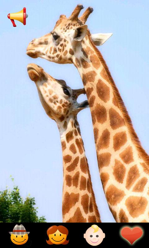 ZOOLA Animals - FREE - Android Apps on Google Play