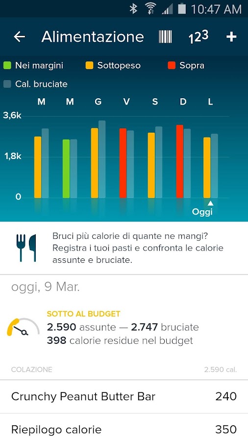 Fitbit - App Android su Google Play