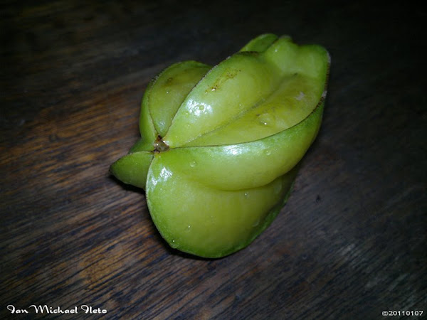 Starfruit, Balimbing | Project Noah