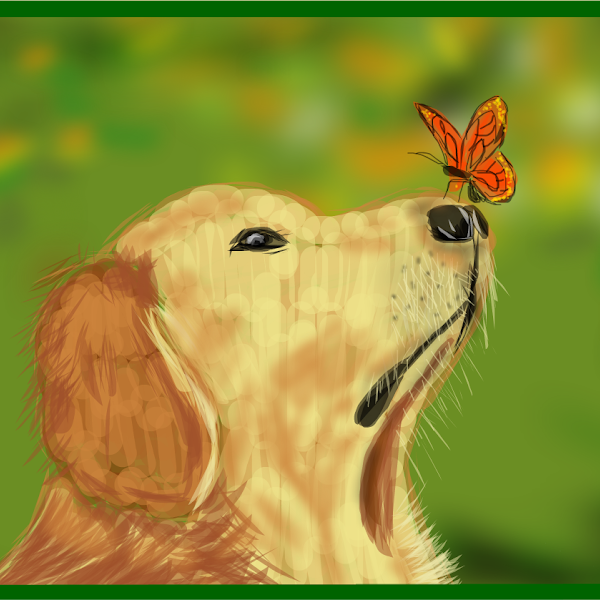 Dog and Butterfly » drawings » SketchPort