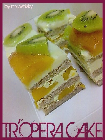 When Baker Barks: Tr'opera: Tropical Opera Cake