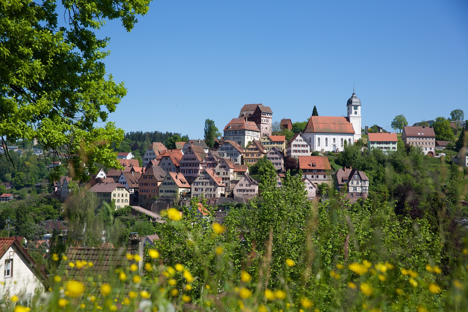 Altensteig - Nördlicher Schwarzwald
