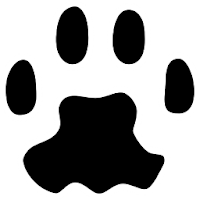 「PAW Server for Android」 - Androidアプリ | APPLION
