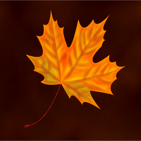 Single Leaf » drawings » SketchPort